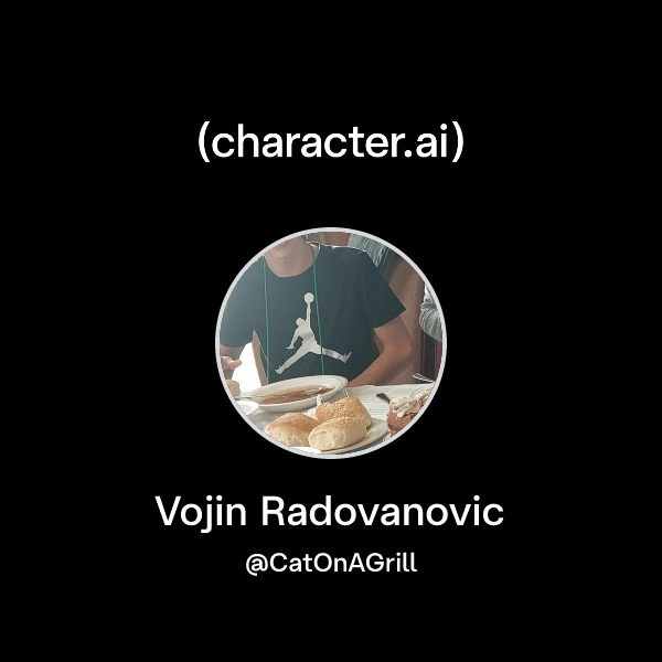 Chat with Vojin Radovanovic | character.ai | Personalized AI for every ...