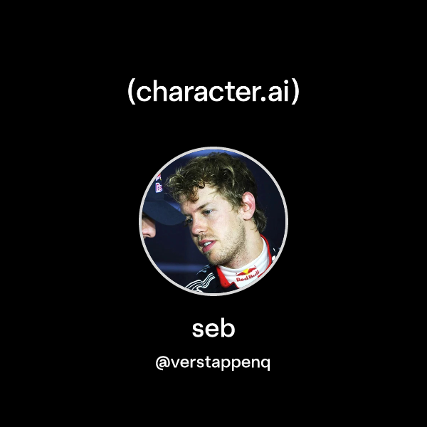 Chat with seb | character.ai | Personalized AI for every moment of your day
