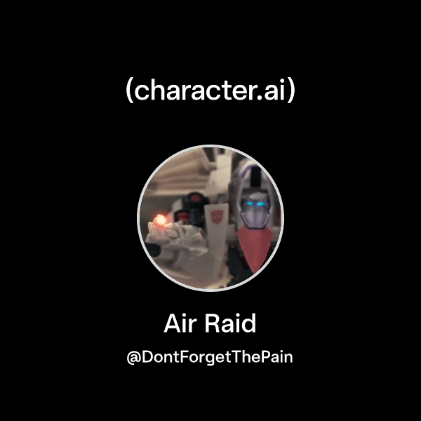 Chat with Air Raid | character.ai | Personalized AI for every moment of ...