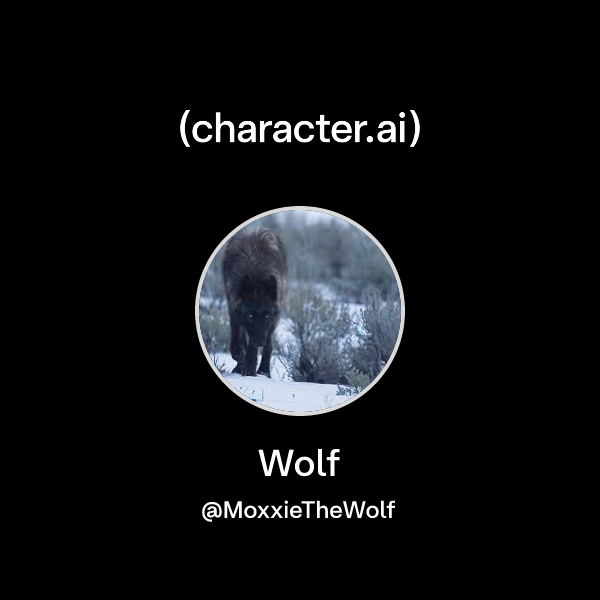 Chat with Wolf | character.ai | AI Chat, Reimagined–Your Words. Your World.