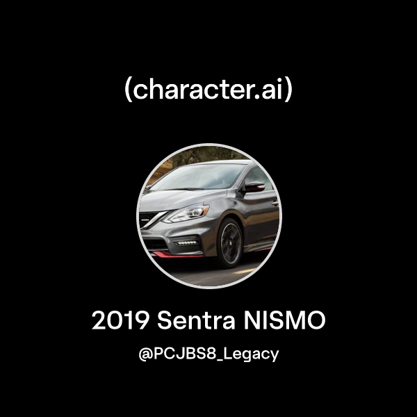 Chat with 2019 Sentra NISMO | character.ai | Personalized AI for every ...