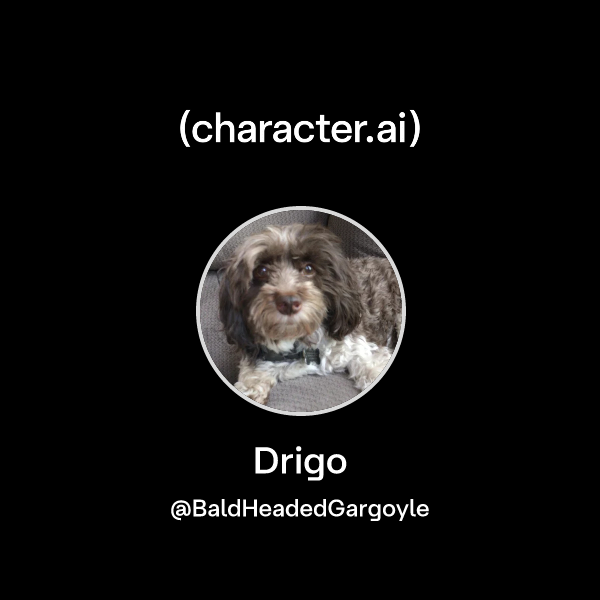 Chat with Drigo | character.ai | Personalized AI for every moment of ...