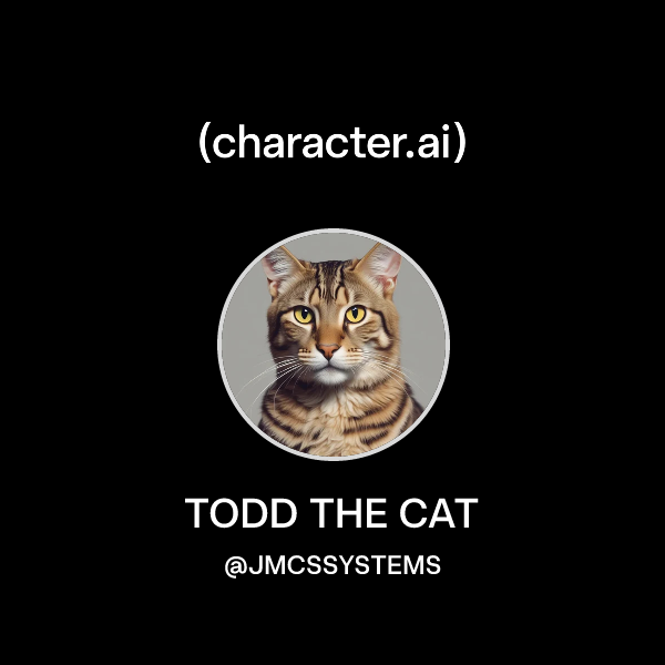 Chat with TODD THE CAT | character.ai | Personalized AI for every ...