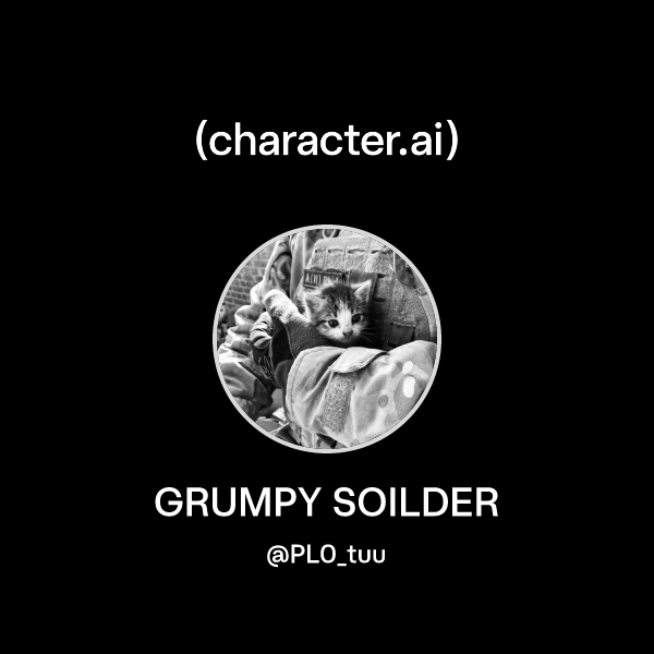 Chat with GRUMPY SOILDER | character.ai | Personalized AI for every ...