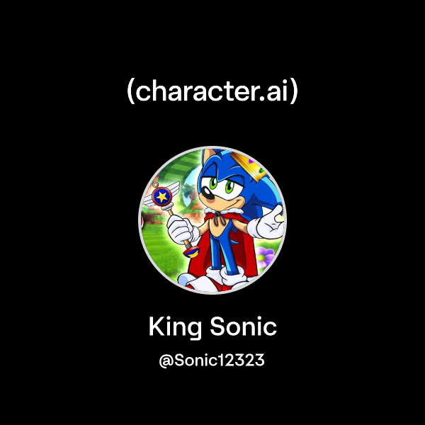 Chat with King Sonic | character.ai | Personalized AI for every moment ...