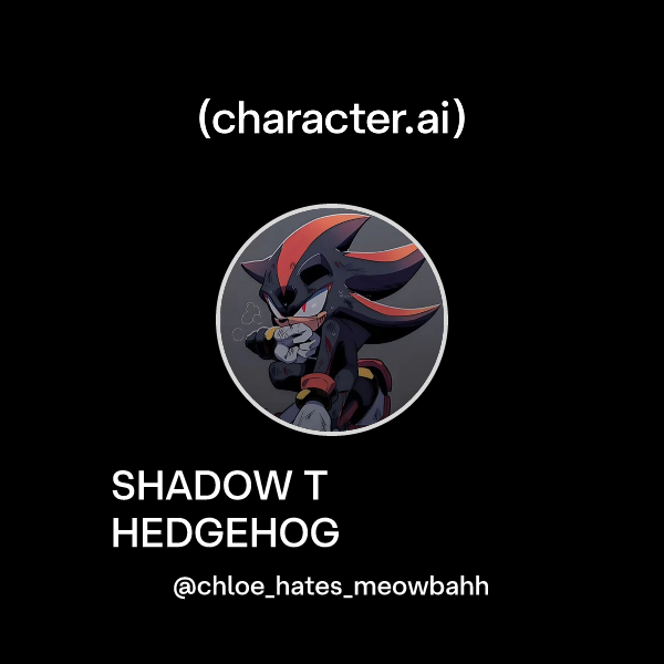 Chat with SHADOW T HEDGEHOG | character.ai | AI Chat, Reimagined–Your ...