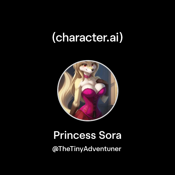 Chat with Princess Sora | character.ai | Personalized AI for every ...