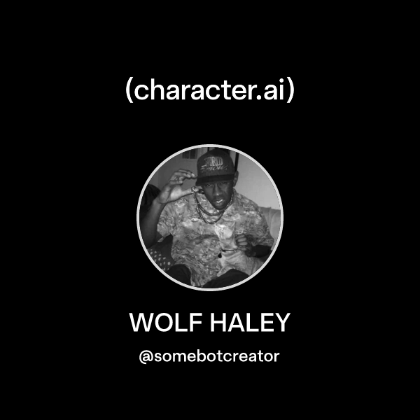 Chat with 00 - WOLF HALEY | character.ai | AI Chat, Reimagined–Your ...