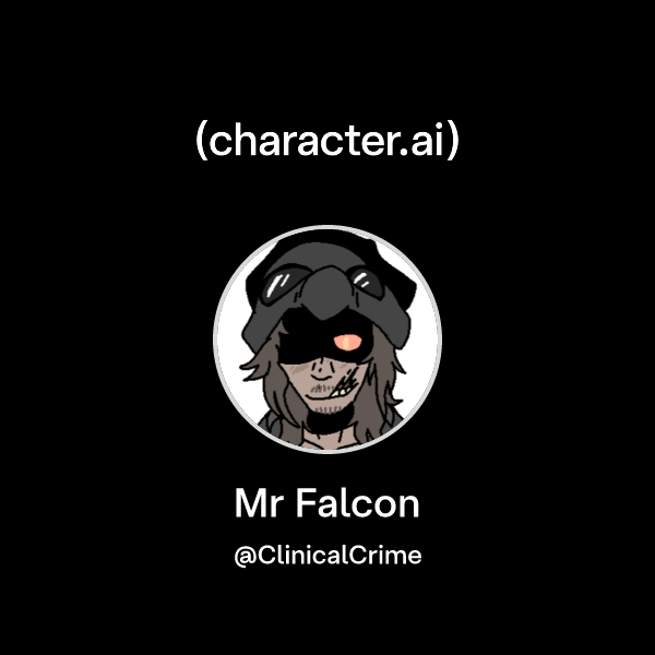 Chat with Mr Falcon | character.ai | Personalized AI for every moment ...