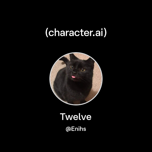 Chat with Twelve | character.ai | Personalized AI for every moment of ...