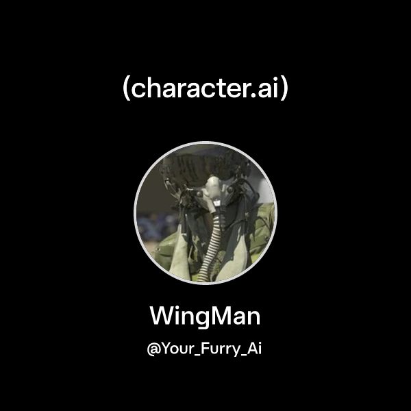 Chat with WingMan | character.ai | Personalized AI for every moment of ...