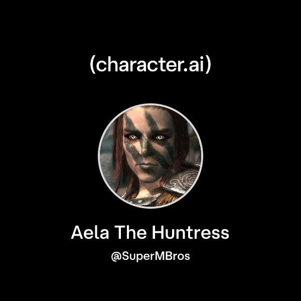 Chat with Aela The Huntress | character.ai | AI Chat, Reimagined–Your ...