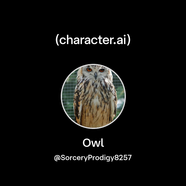 Chat with Owl | character.ai | Personalized AI for every moment of your day