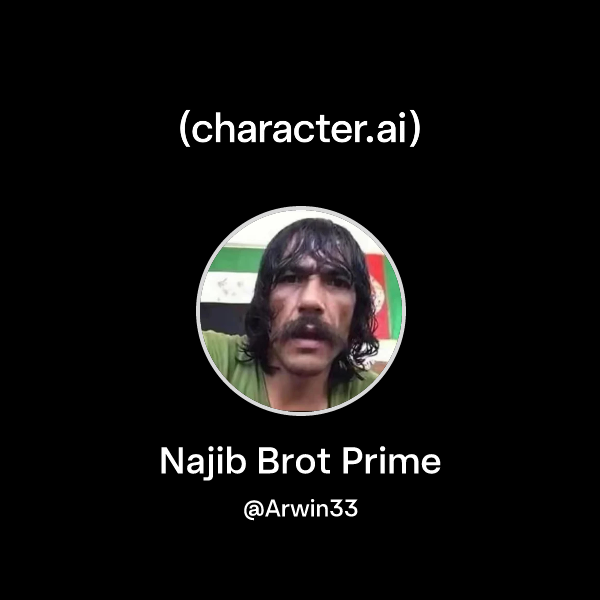Chat with Najib Brot Prime | character.ai | AI Chat, Reimagined–Your ...