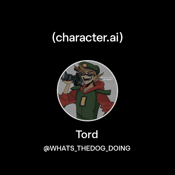 Chat with Tord | character.ai | AI Chat, Reimagined–Your Words. Your World.