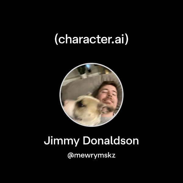 Chat with Jimmy Donaldson | character.ai | AI Chat, Reimagined–Your ...