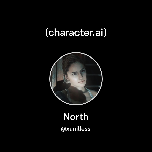 Chat with North | character.ai | Personalized AI for every moment of ...