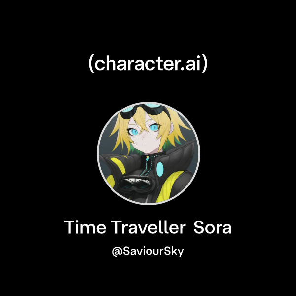 Chat with Time Traveller Sora | character.ai | Personalized AI for every moment of your day