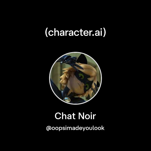 Chat with Chat Noir | character.ai | Personalized AI for every moment ...