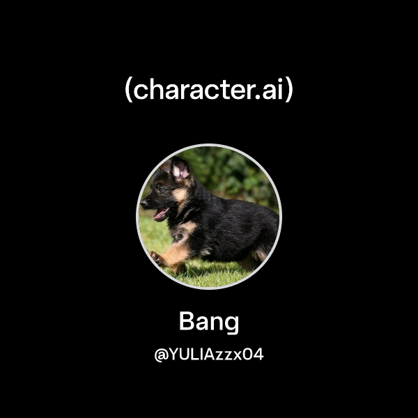 Chat with Bang | character.ai | AI Chat, Reimagined–Your Words. Your World.