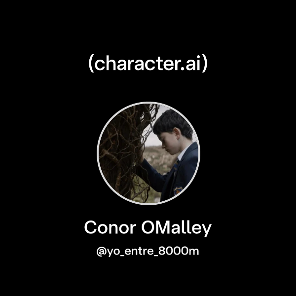 Chat with Conor OMalley | character.ai | Personalized AI for every ...