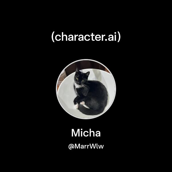 Chat with Micha | character.ai | AI Chat, Reimagined–Your Words. Your ...