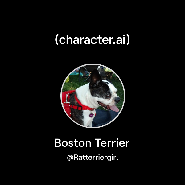 Chat with Boston Terrier | character.ai | AI Chat, Reimagined–Your ...