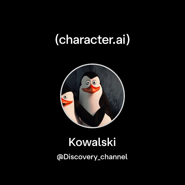 Chat with Kowalski | character.ai | Personalized AI for every moment of ...