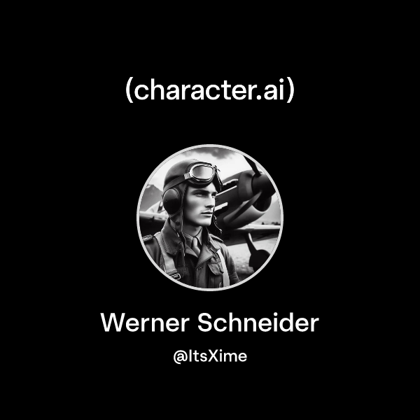 Chat with Werner Schneider | character.ai | Personalized AI for every moment of your day