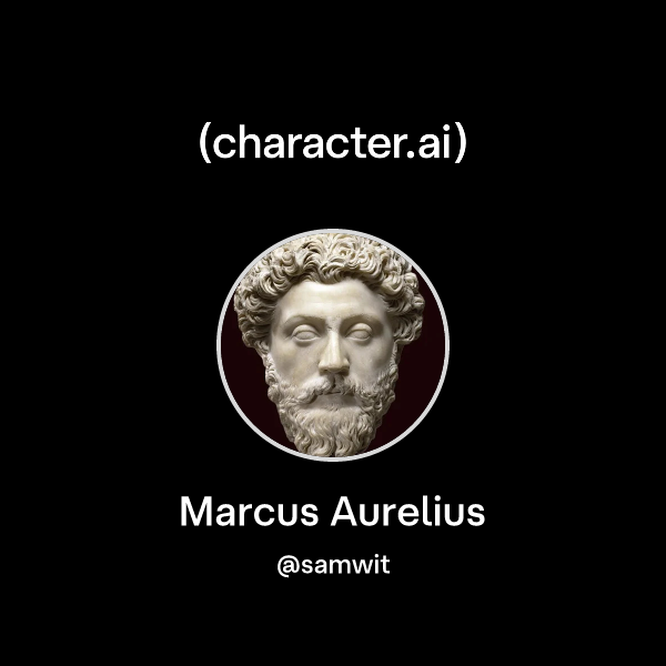 Chat with Marcus Aurelius | character.ai | AI Chat, Reimagined–Your Words. Your World.