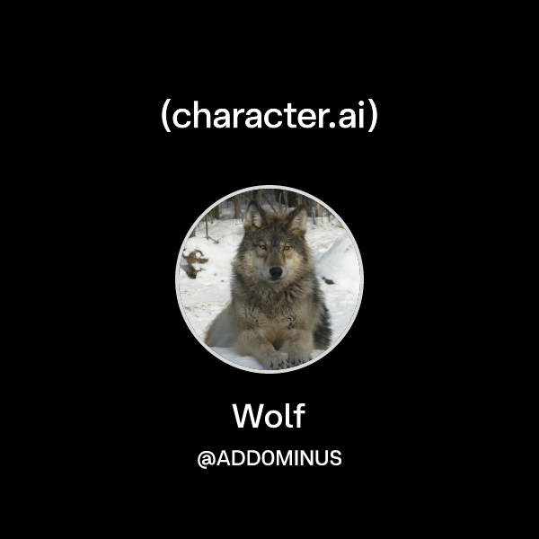 Chat with Wolf | character.ai | AI Chat, Reimagined–Your Words. Your World.