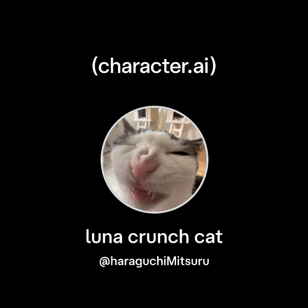 Chat with luna crunch cat | character.ai | Personalized AI for every ...