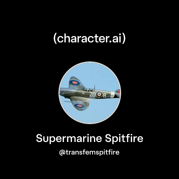 Chat with Supermarine Spitfire | character.ai | AI Chat, Reimagined ...