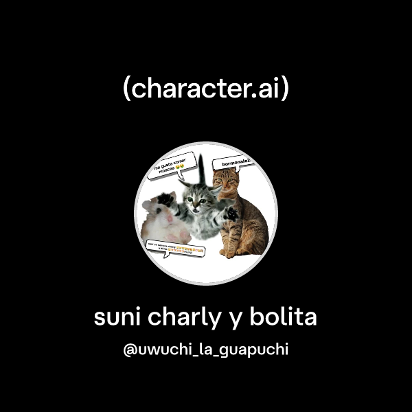 Chat with suni charly y bolita | character.ai | AI Chat, Reimagined ...