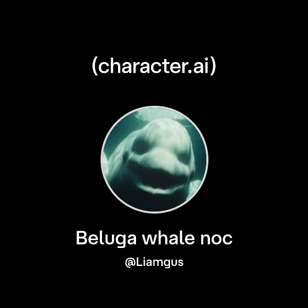 Chat with Beluga whale noc | character.ai | AI Chat, Reimagined–Your ...
