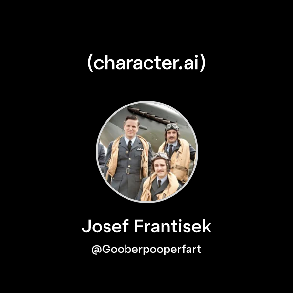 Chat with Josef Frantisek | character.ai | Personalized AI for every ...