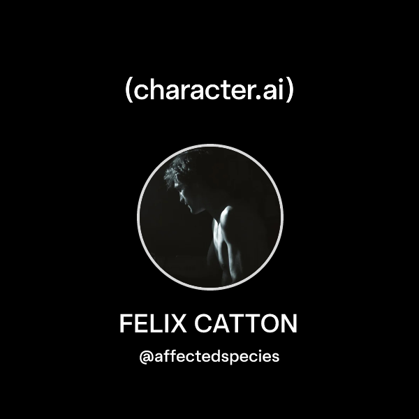 Chat with FELIX CATTON | character.ai | Personalized AI for every ...