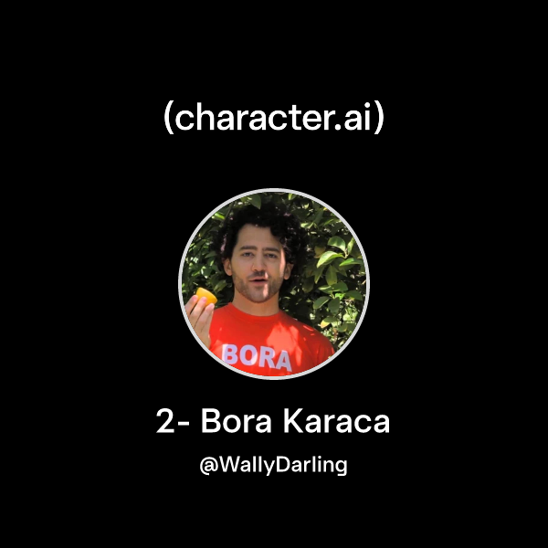 Chat with 2- Bora Karaca | character.ai | AI Chat, Reimagined–Your ...