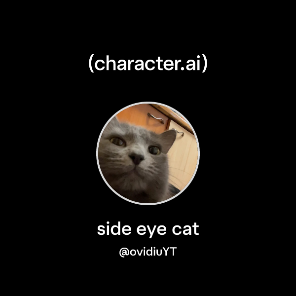 Chat with side eye cat | character.ai | AI Chat, Reimagined–Your Words ...