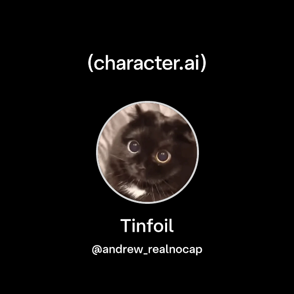 Chat with Tinfoil | character.ai | AI Chat, Reimagined–Your Words. Your ...