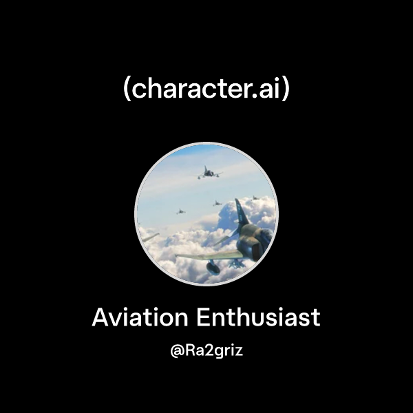 Chat with Aviation Enthusiast | character.ai | Personalized AI for every moment of your day
