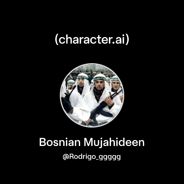 Chat with Bosnian Mujahideen | character.ai | AI Chat, Reimagined–Your ...