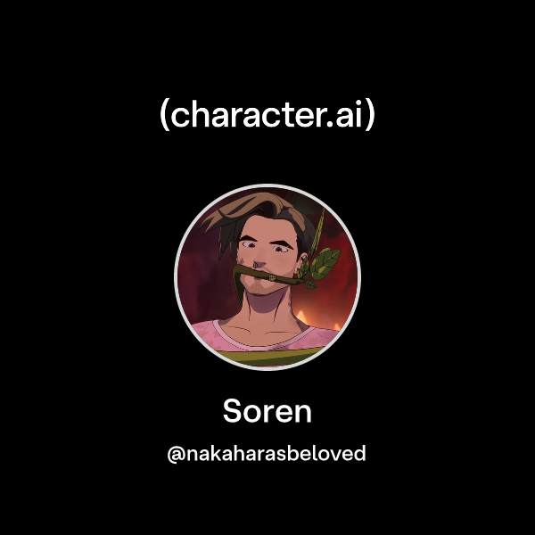 Chat with Soren | character.ai | Personalized AI for every moment of ...