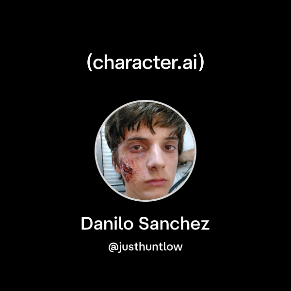 Chat with Danilo Sanchez | character.ai | AI Chat, Reimagined–Your ...