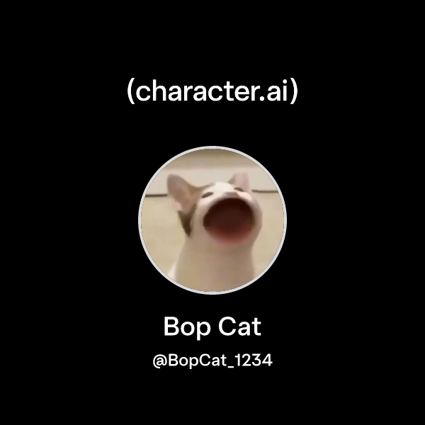 Chat with Bop Cat | character.ai | Personalized AI for every moment of ...