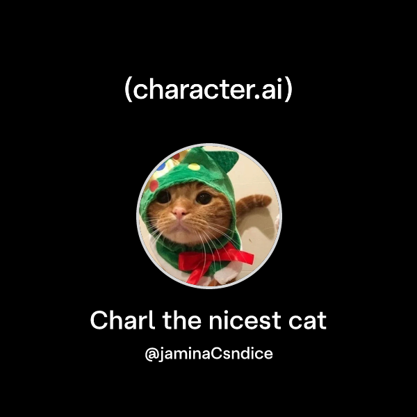 Chat with Charl the nicest cat | character.ai | AI Chat, Reimagined ...