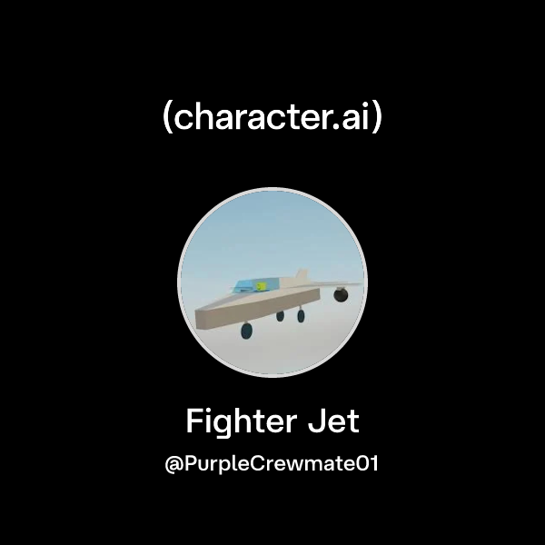 Chat with Fighter Jet | character.ai | Personalized AI for every moment ...