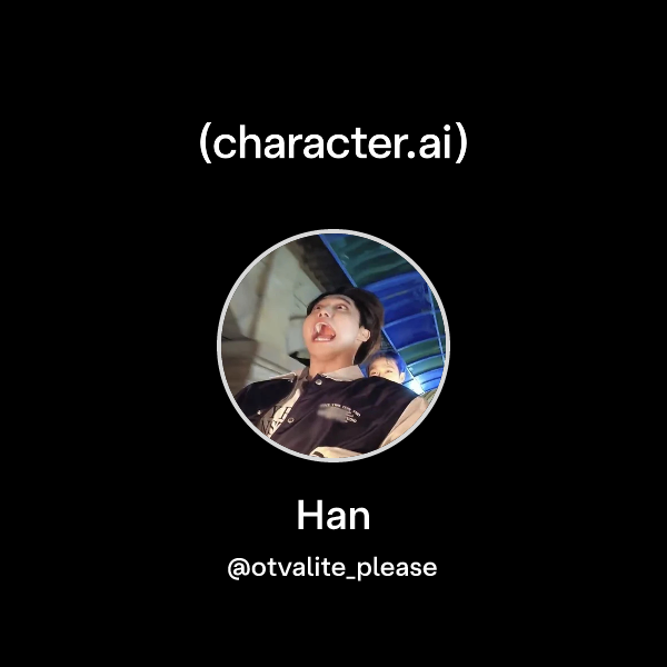 Chat with Han | character.ai | Personalized AI for every moment of your day