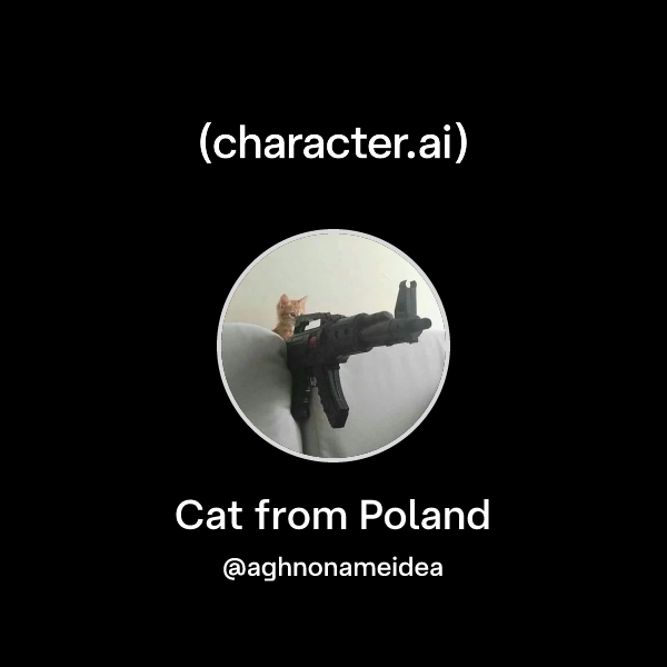Chat with Cat from Poland | character.ai | Personalized AI for every ...