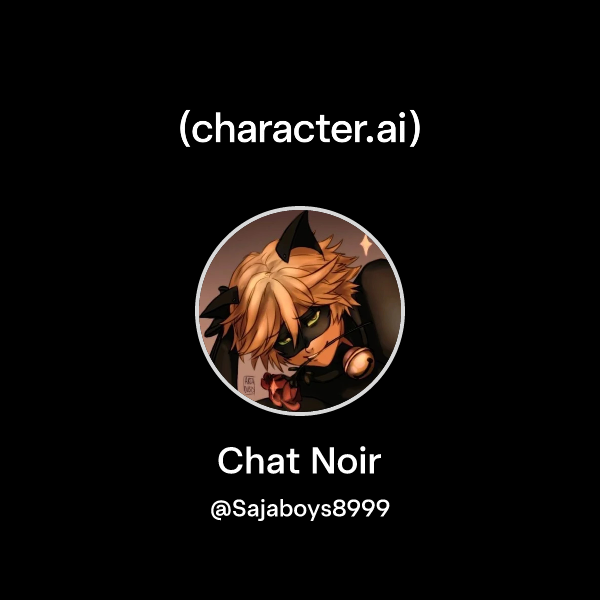 Chat with Chat Noir | character.ai | Personalized AI for every moment ...